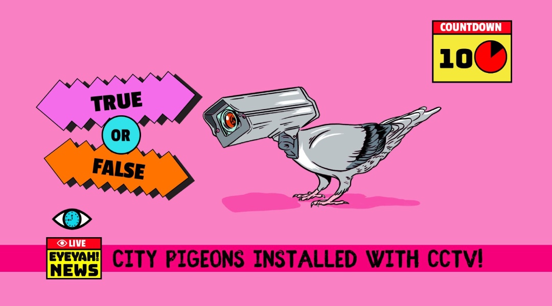 Fake News Quiz for Kids Teaches Truth from Fiction