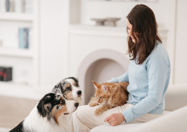 7 Parenting Lessons I Learned From Being a Fur Mom