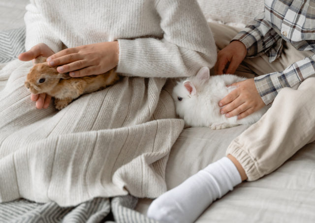 Parenting Tips For Parents Born in the Year of The Rabbit