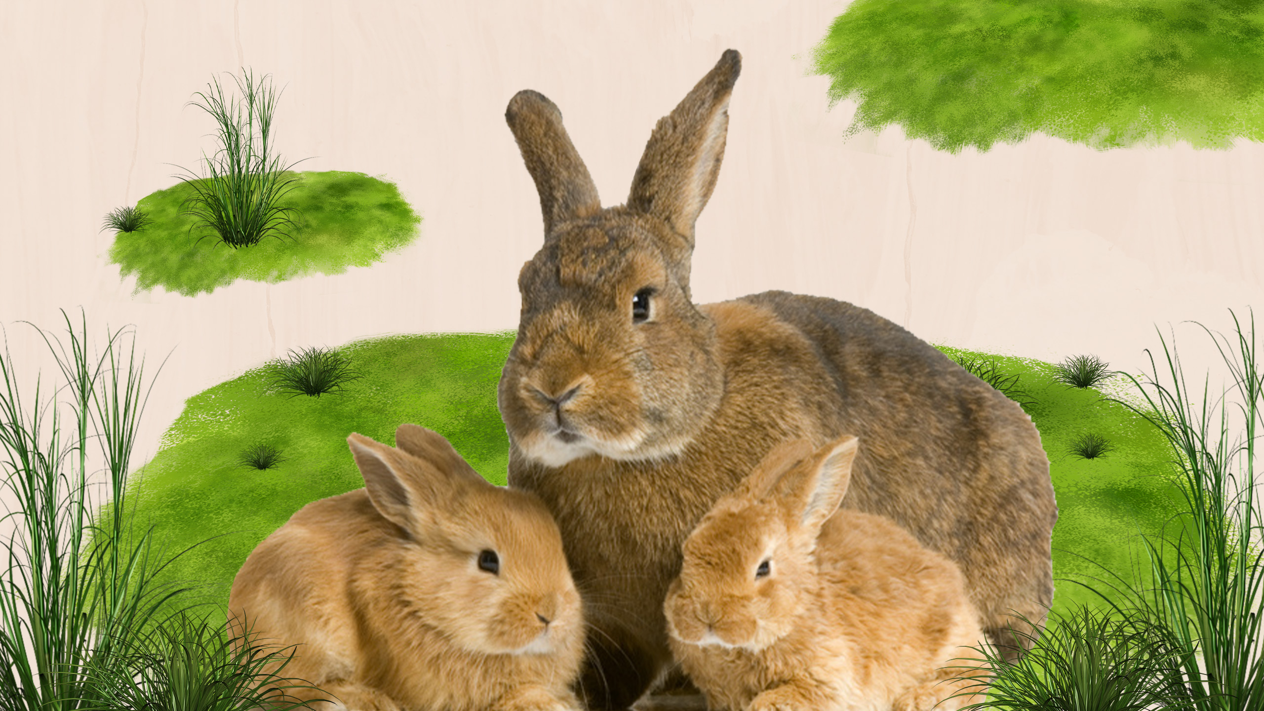 Parenting Tips For Parents Born in the Year of The Rabbit