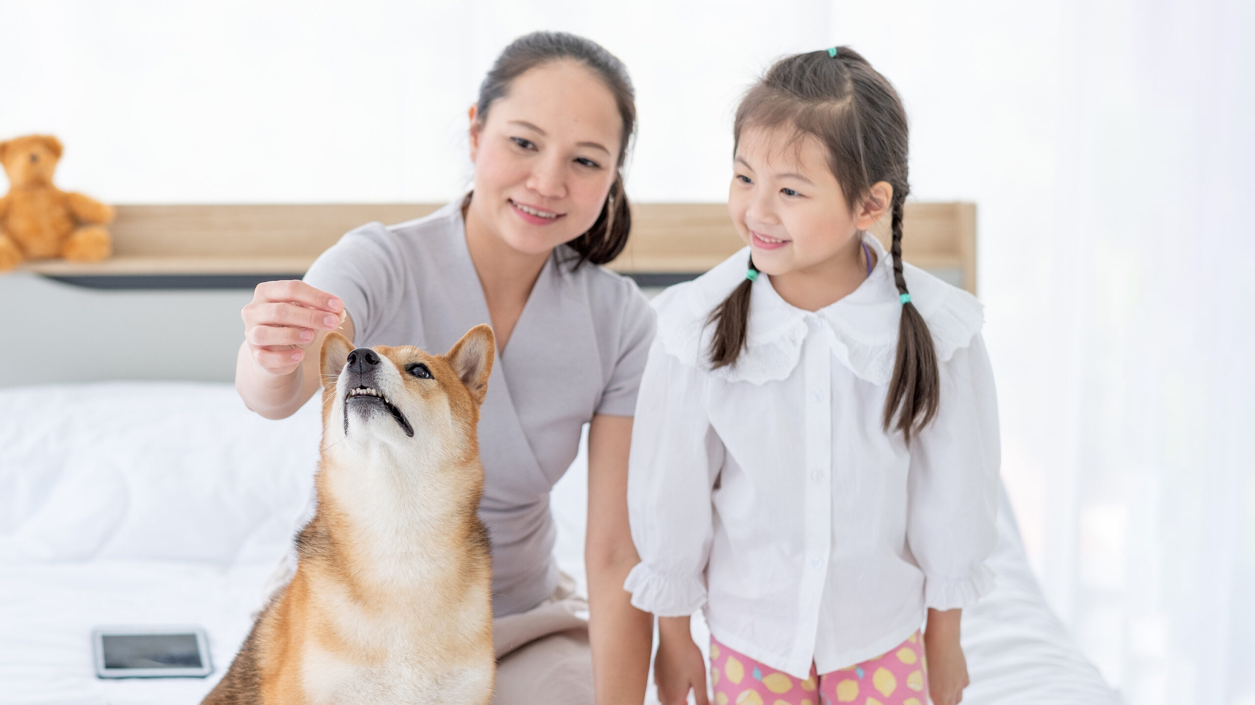 Why We Need to Teach Kids to Be Kind to Animals