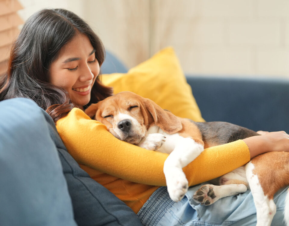 Fur Parent Truths That Will Make Us Love Our Fur Babies More