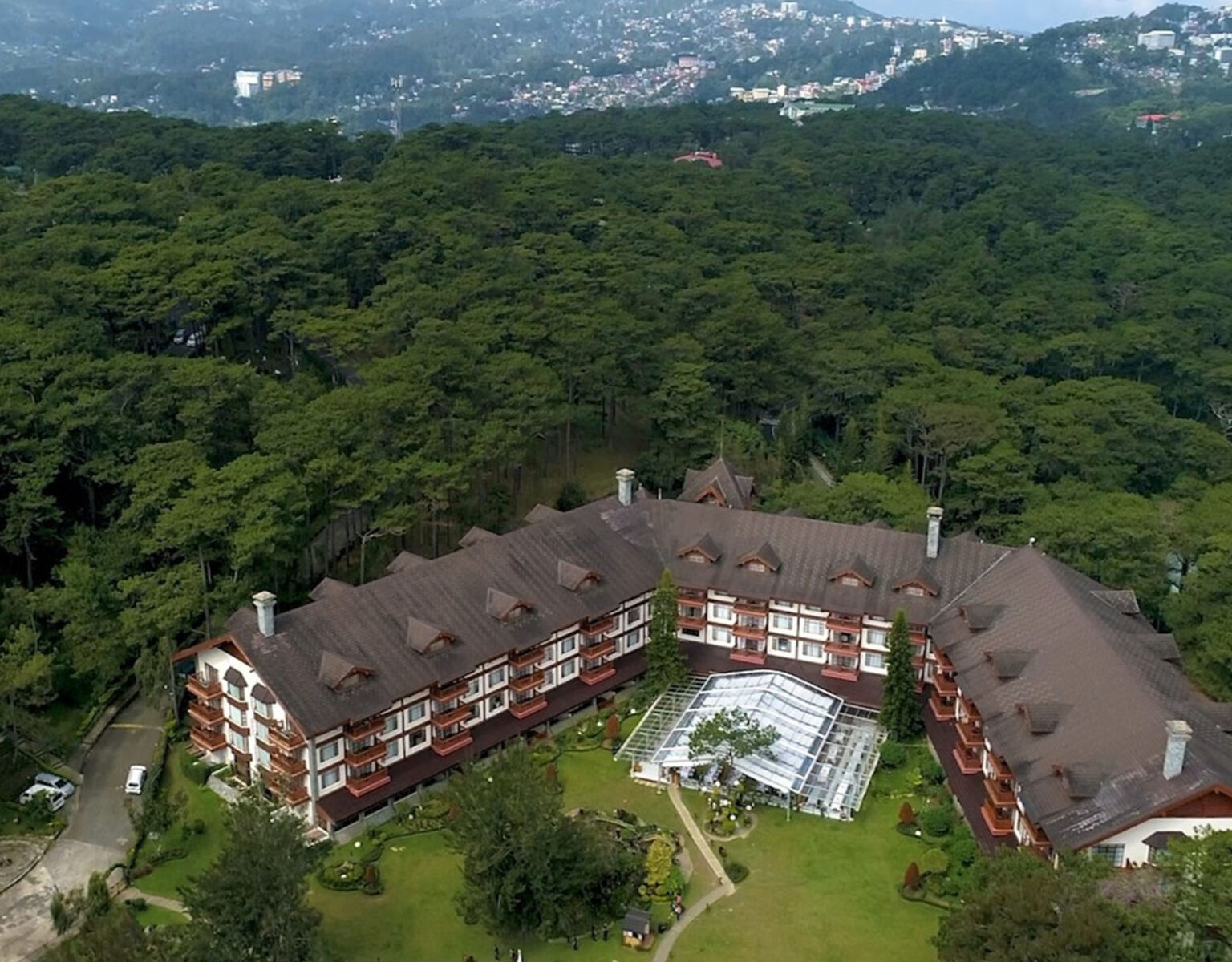 Why Kids and Parents Should Start Hugging Trees