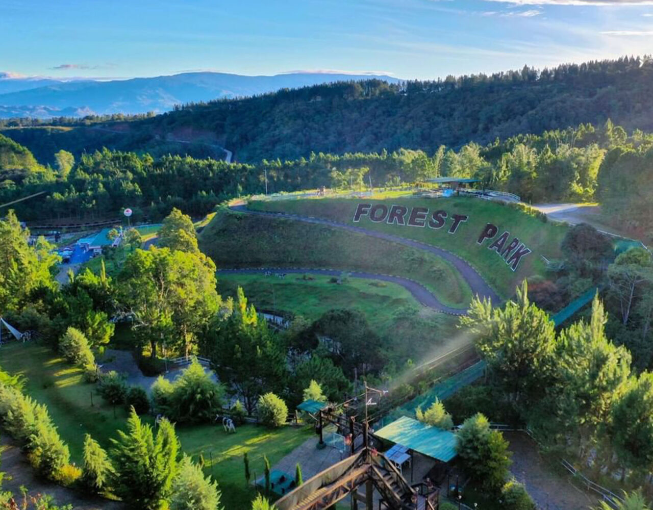 Why Kids and Parents Should Start Hugging Trees