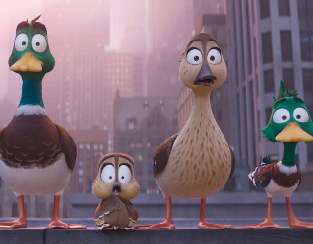 Why Migration is More Than a Story of a Family of Ducks