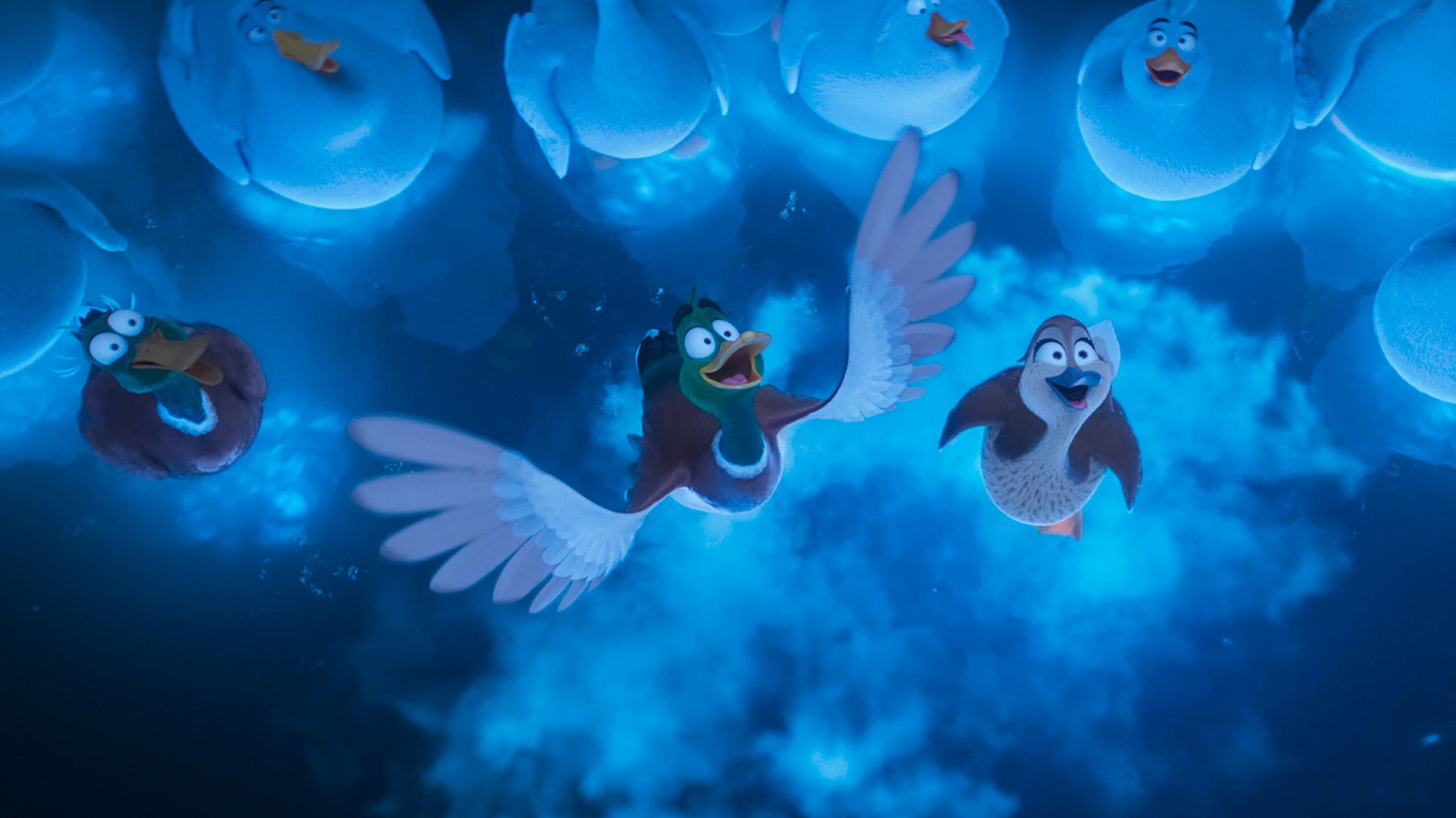 Why Migration is More Than a Story of a Family of Ducks