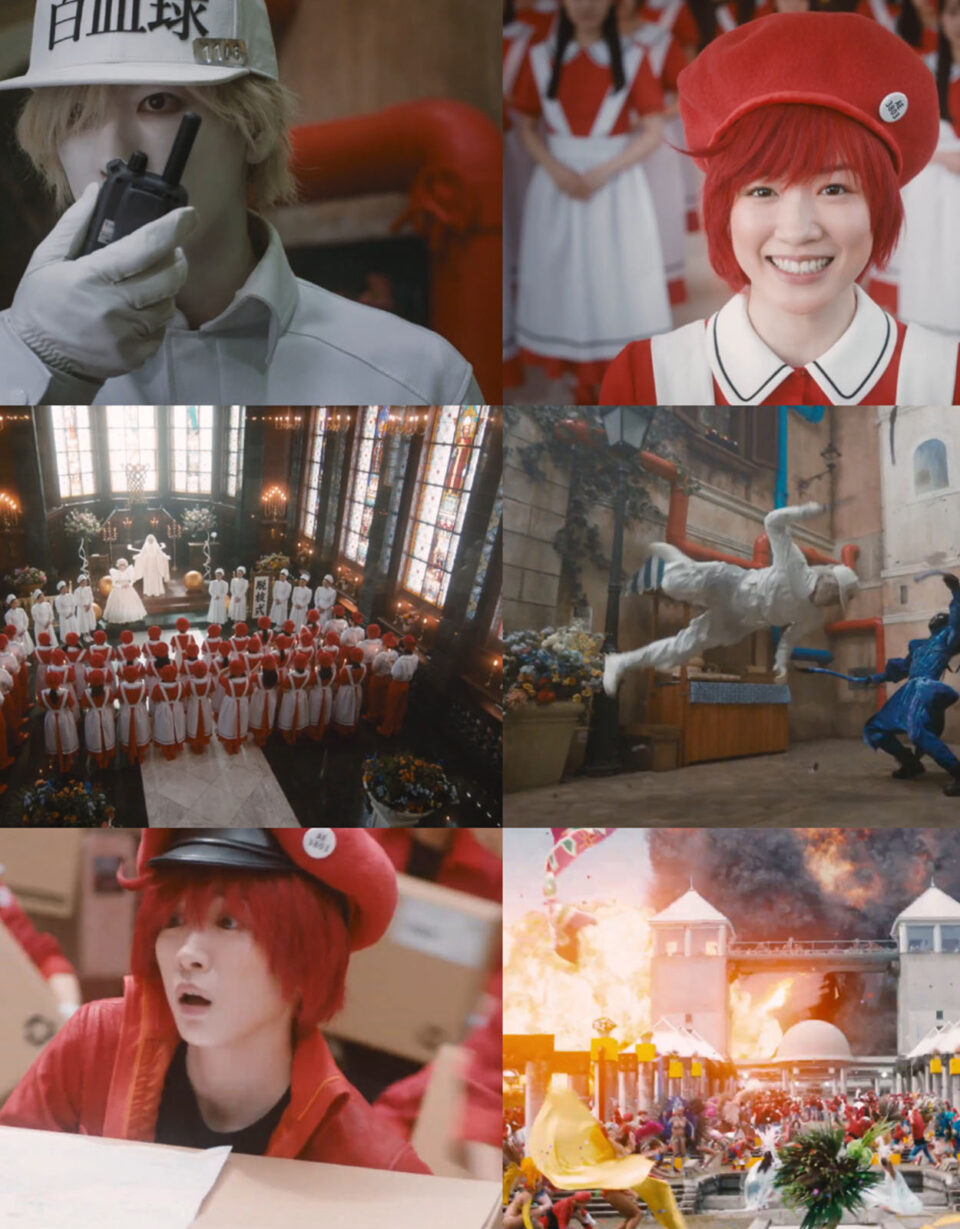 What We Know About The New Cells At Work Live Action