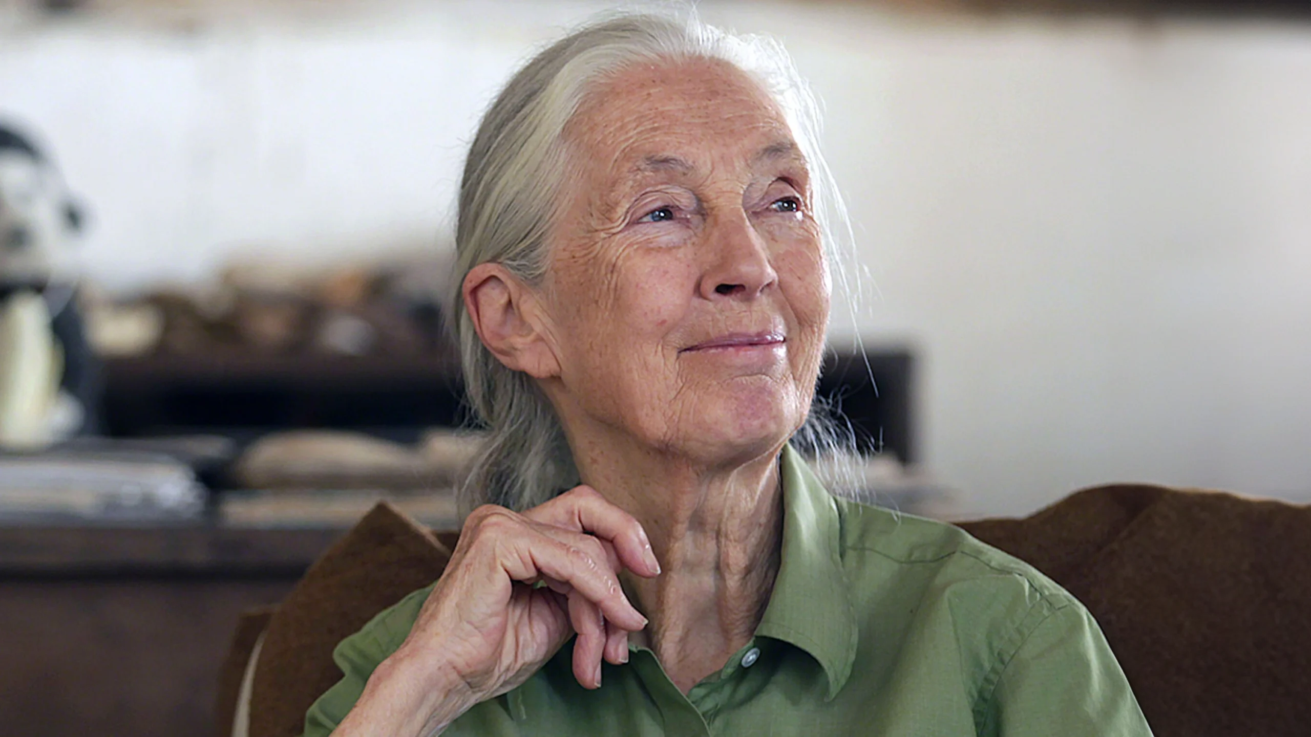 Dr. Jane Goodall Passes Away at 91 Years Old